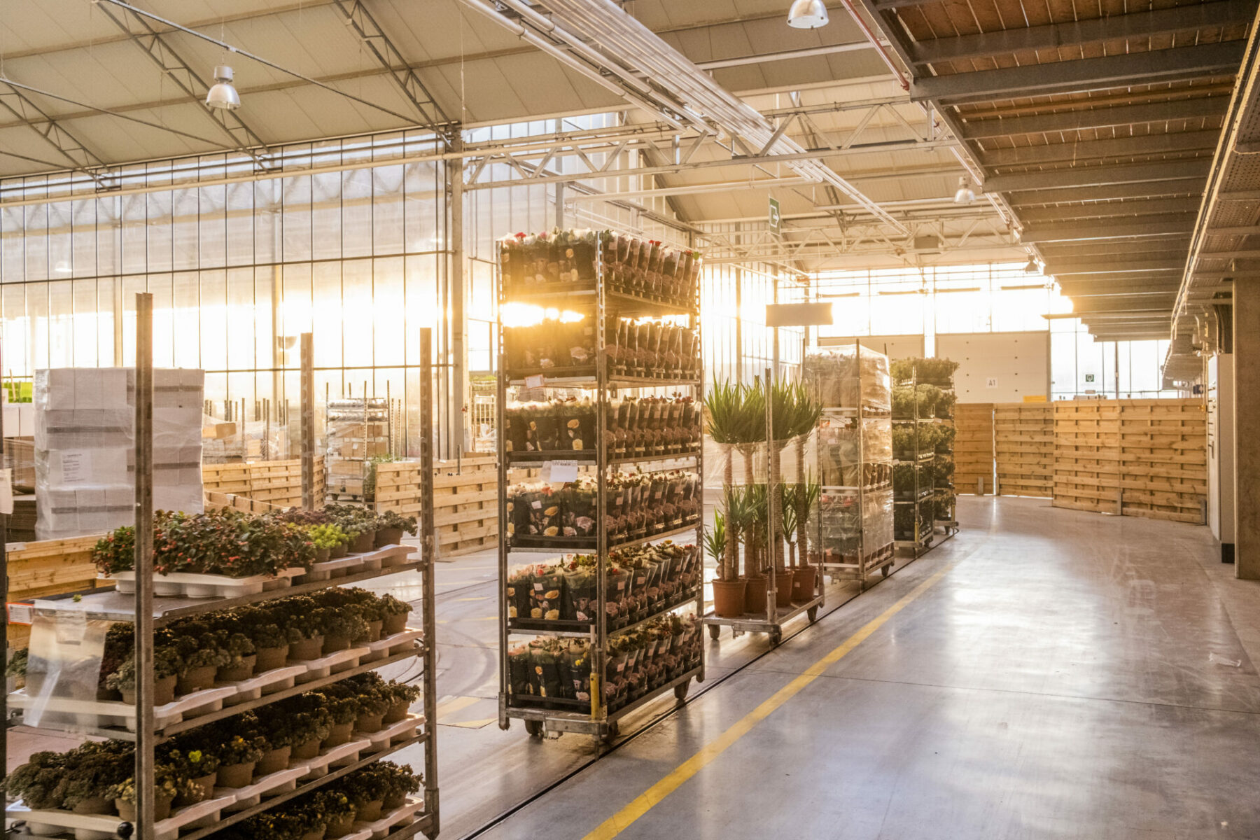 General terms and conditions of sale - Floréac