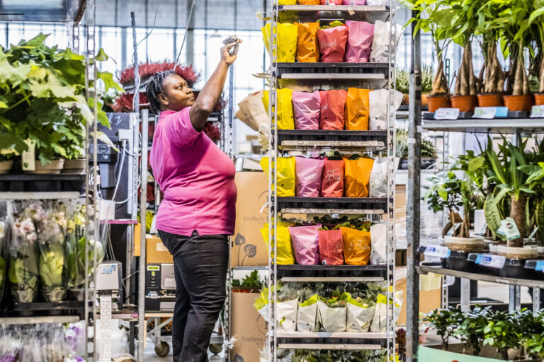 Homepage - Floréac grow in green