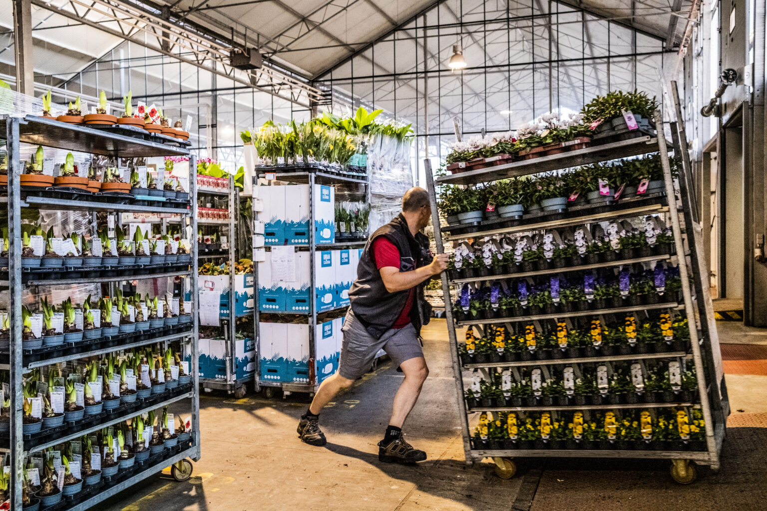 Our services - Floréac