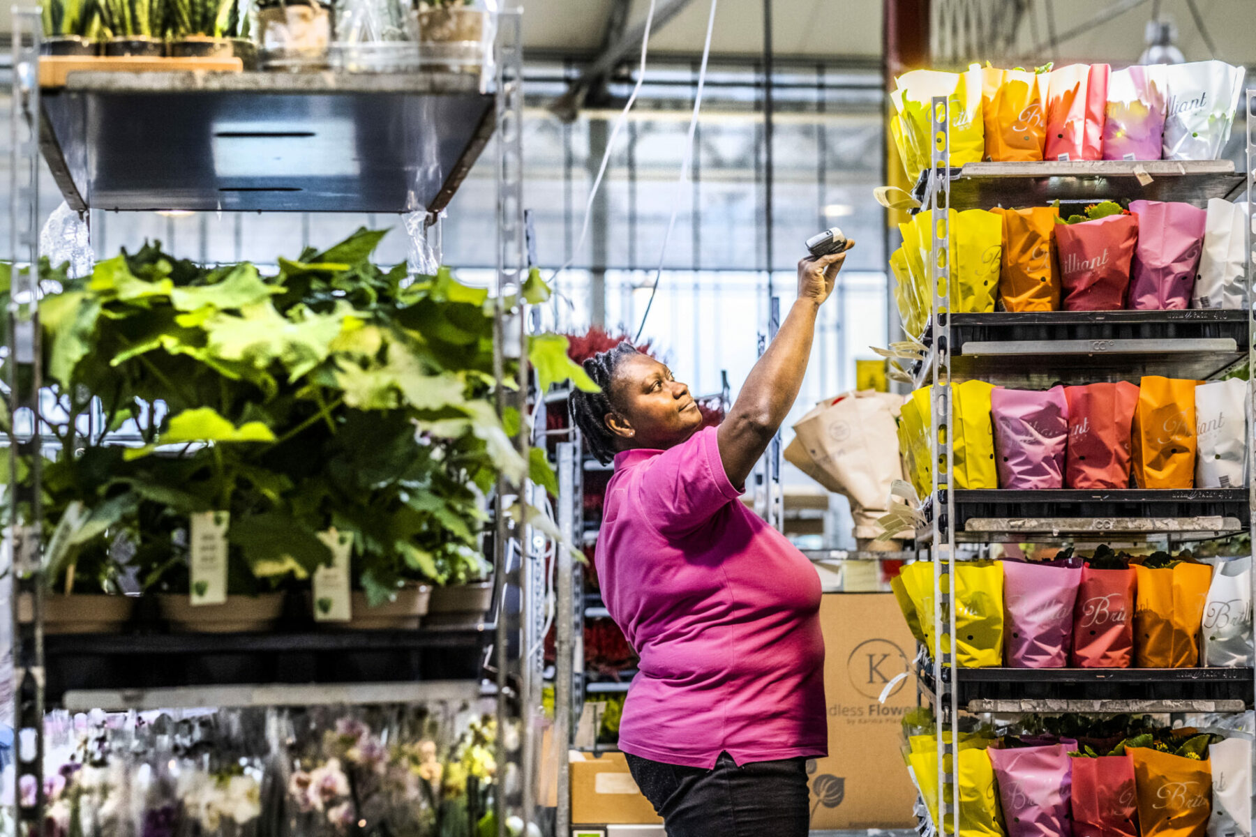 Our services - Floréac