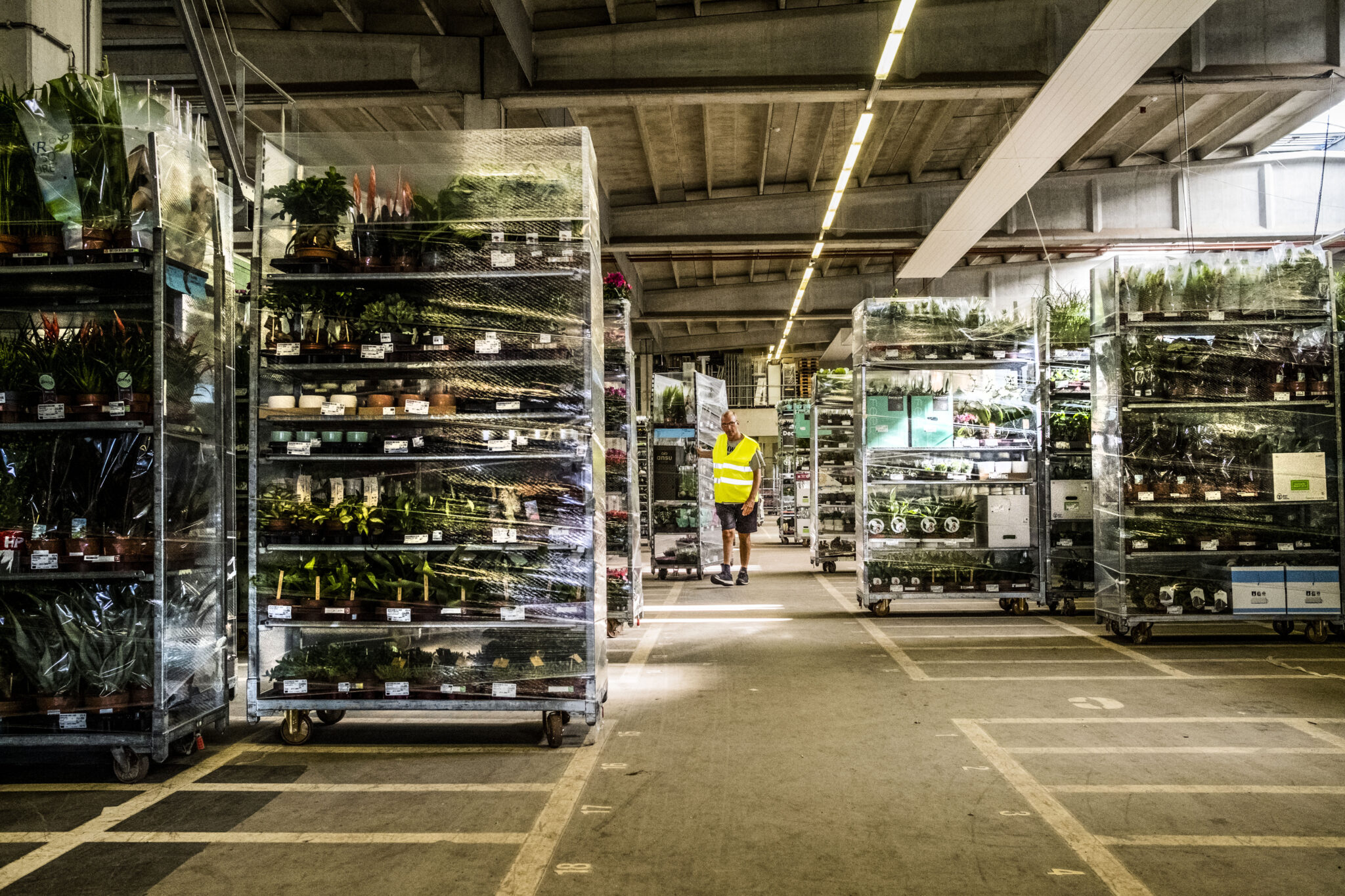 Notre histoire - Floréac