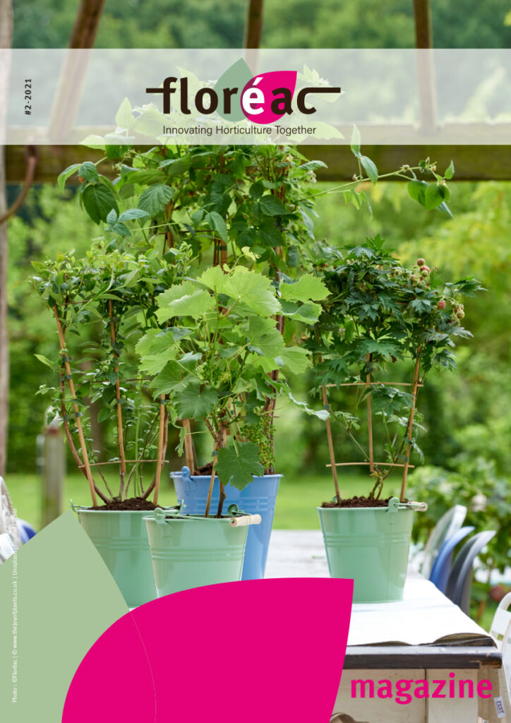 Floréac Magazine #2 2021 : A green vaccine - Floréac green plant indoor