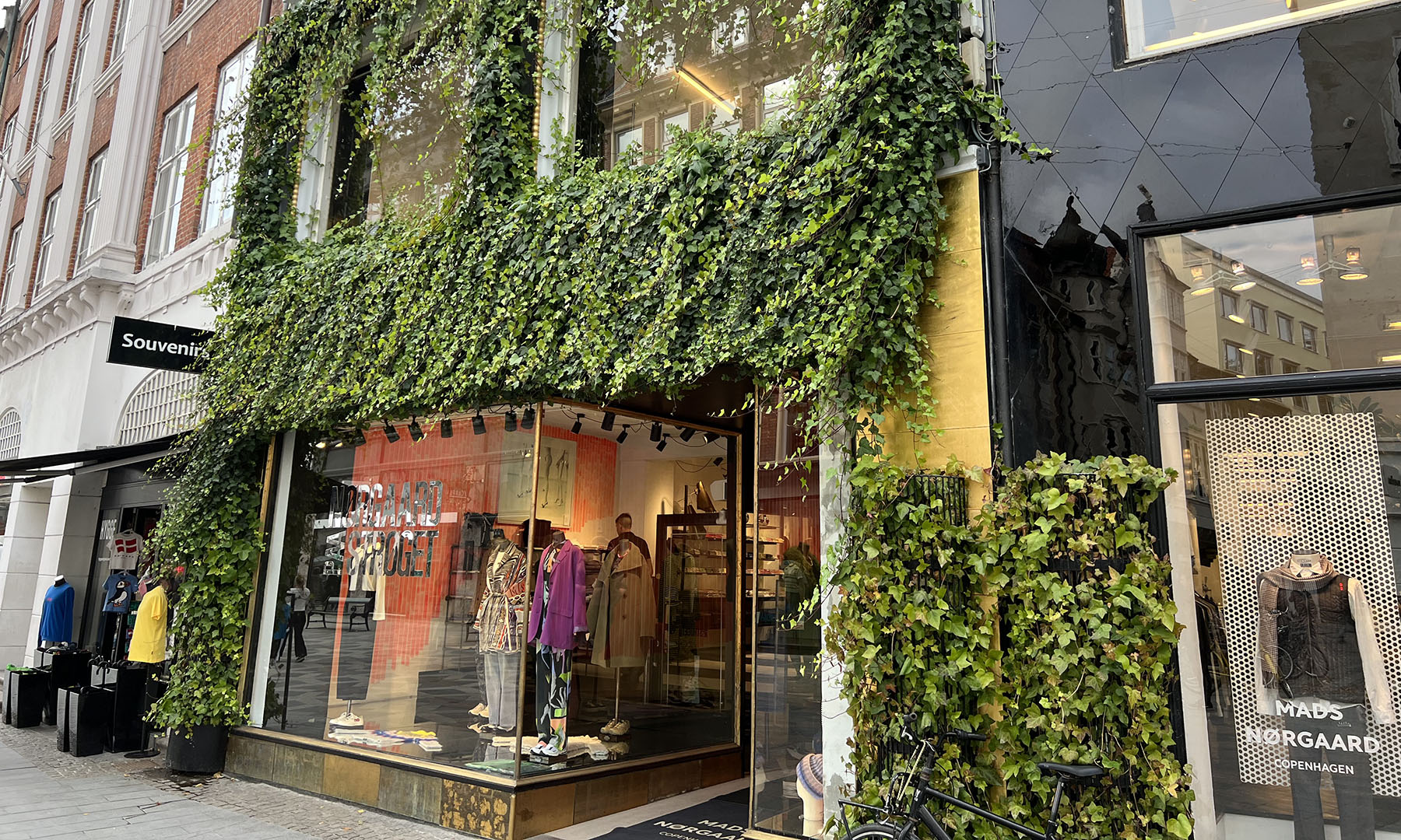 Climbing plant as lever for greening cities - Floréac